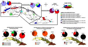 bhyui | The History, Culture and Legacy of the People of Cuba