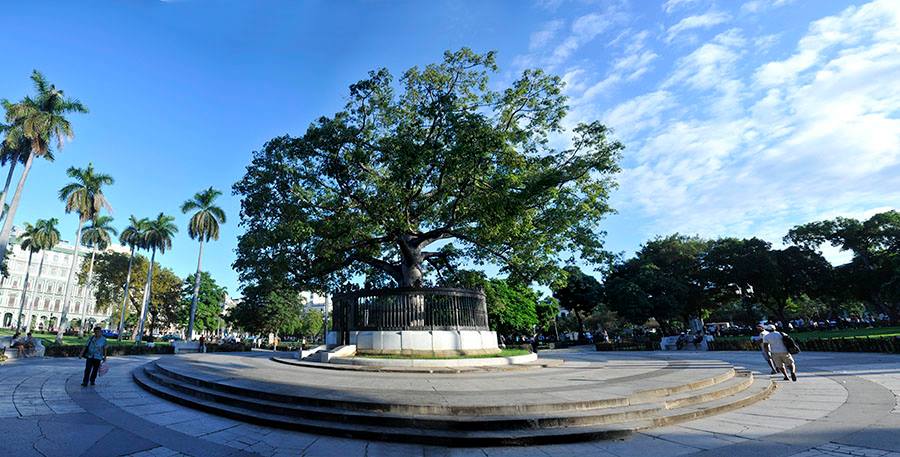 © DECLARAN OFICIALMENTE al danzón “Patrimonio Inmaterial de la Nación ...