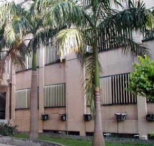 CUBA’S NATIONAL TREE.. LA PALMA REAL. ** LA PALMA REAL..CUBANA! | The ...