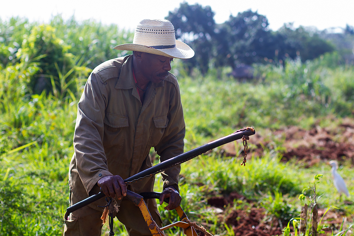 U.S. COOPERATIVES Organizing Help to Cuban Cooperatives ...