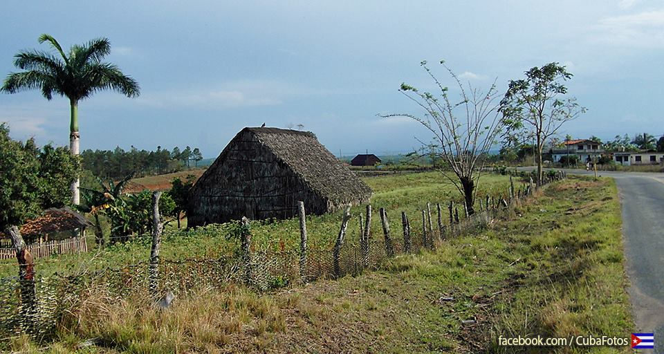 PERICO’S LIBERALS….To Run !… *** A Correr! Liberales del Perico. | The ...