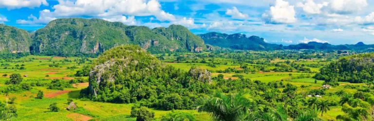 LA CHARADA CUBANA (BOLITA) – Busque su Número de Suerte ???. + THE ...