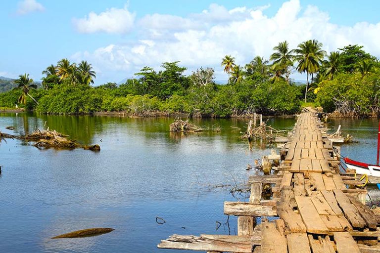 alejandro-de-humboldt-national-park-baracoa-cuba-rio-miel-bridge-part ...
