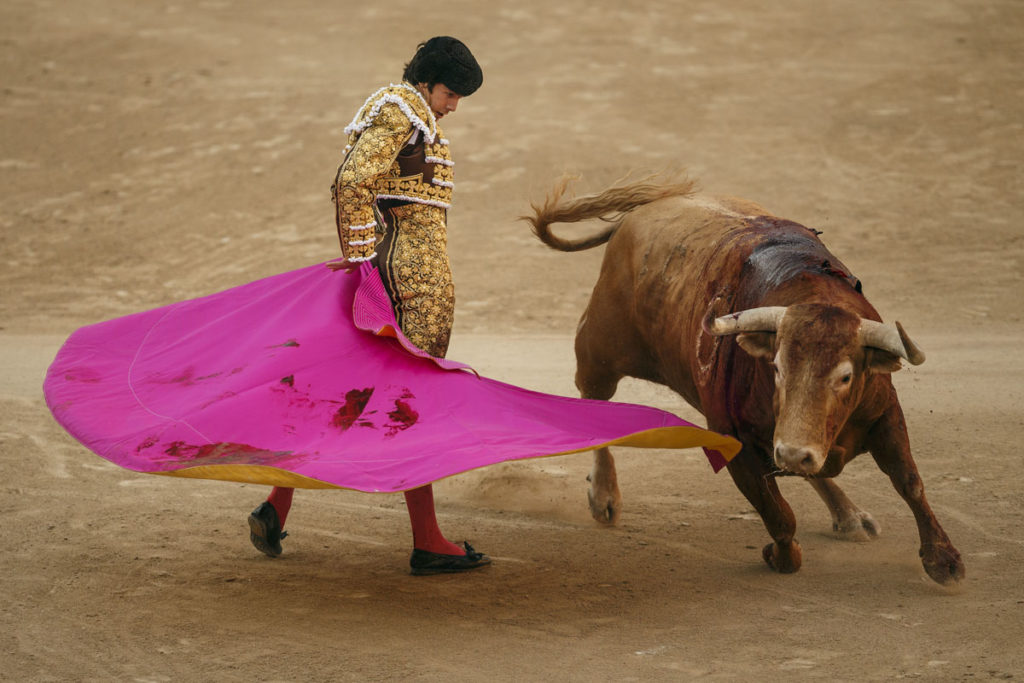 HISTORY of the Bullfights in Cuba. First and Last One. Photos. HISTORIA ...
