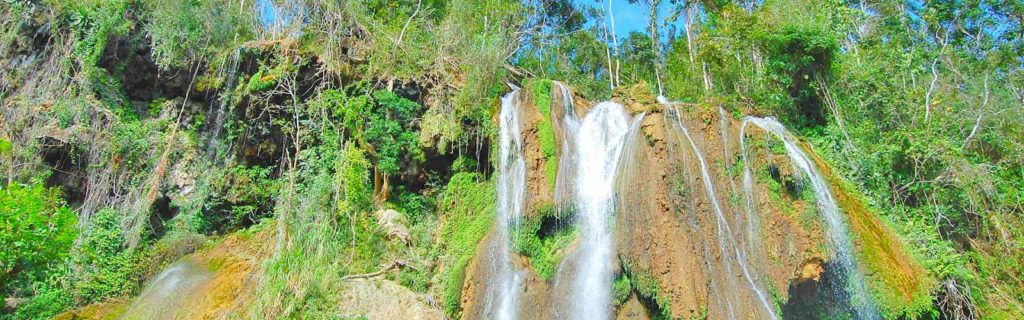 AFRO-CUBANISMOS: Leyenda de la Frase Popular “Kikiribú Mandinga ...
