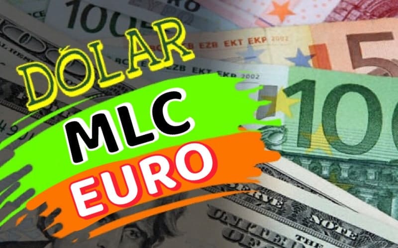 Rompen Records En Cuba El Valor Del Euro Dollar Y La Mlc Vs El Peso